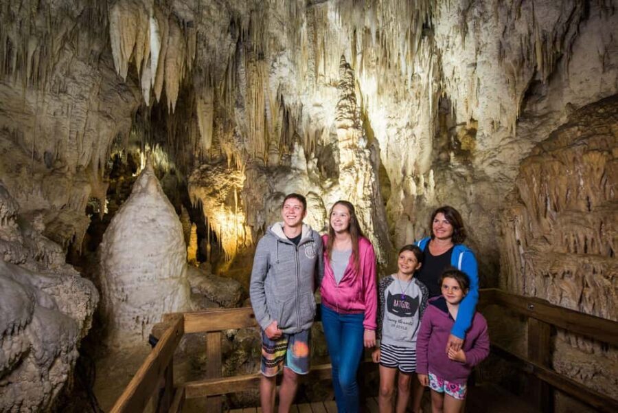 Auckland: One-Way Tour to Rotorua with Waitomo Caves - The Scenic Drive Through Waikato Countryside