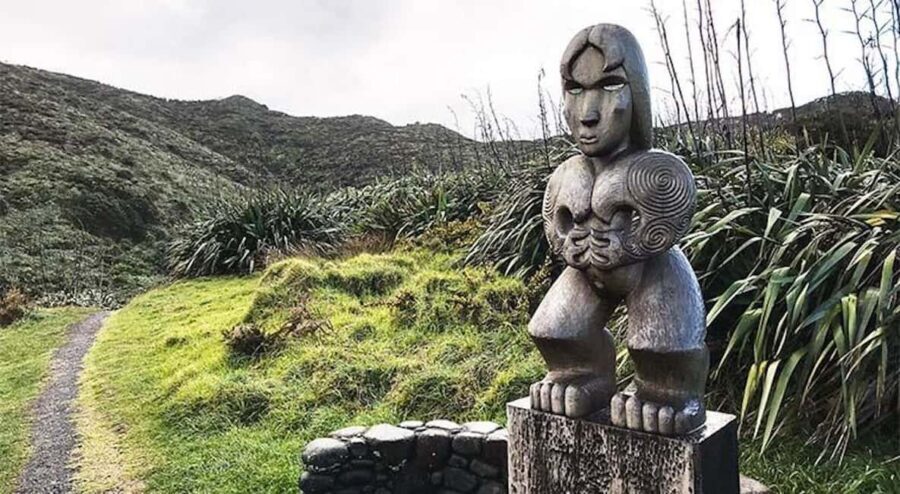 Auckland: Piha Beach, Rainforest, & Mount Eden Private Tour - What Makes This Tour a Good Value