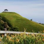 Auckland: Private City Tour with Mount Victoria and Mt. Eden - A Closer Look at the Itinerary