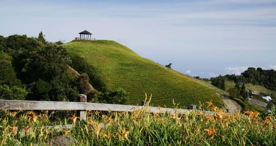 Auckland: Private City Tour with Mount Victoria and Mt. Eden - A Closer Look at the Itinerary