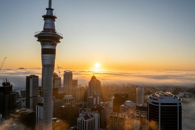 Auckland Private Full Day Attractions Tour & Museums - What Makes This Tour Stand Out?