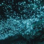 Auckland: Private Rotorua Mori Village & Waitomo Caves Tour - Who Should Consider This Tour?