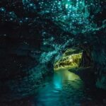 Auckland: Private Tour to Waitomo & Te Puia Valley - Whats Included and What’s Not