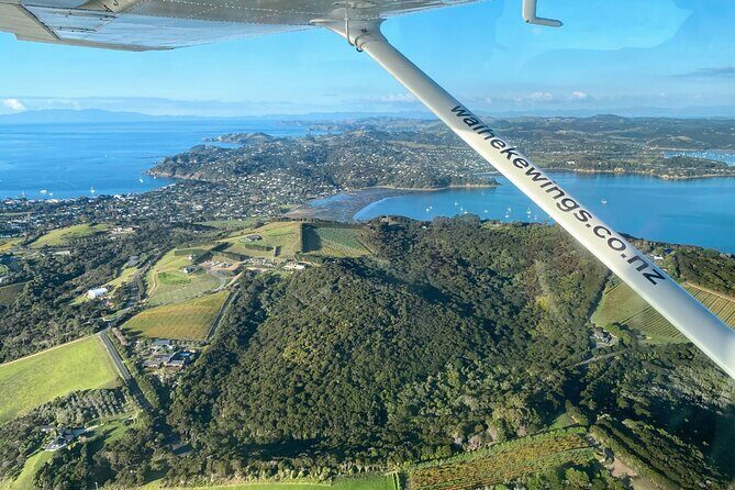 Auckland Region | Multi Island Hopper Package Tour - Diving Into the Experience: A Detailed Breakdown