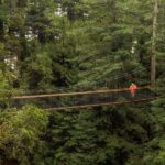Auckland: Rotorua Highlights inc Te Puia Tour & Redwoods - Exploring Rotorua’s Core Attractions