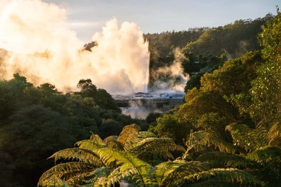Auckland: Rotorua Highlights w TePuia & Secret Spot Hot Tubs - Full Itinerary Breakdown: From Auckland to Rotorua’s Heart