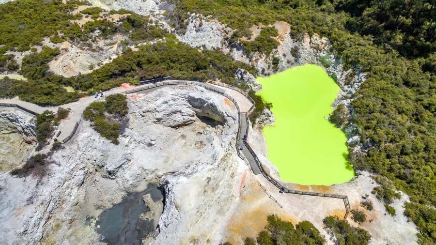 Auckland: Rotorua Highlights w WaiOTapu & Redwoods Treewalk - Why This Tour Offers Great Value