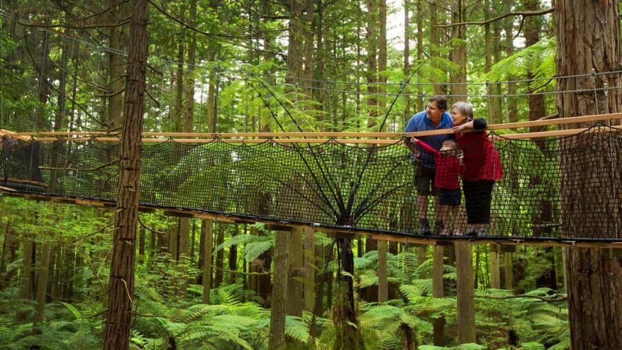 Auckland: Rotorua Highlights with Redwoods Treewalk & Spa - Exploring Rotorua’s Geothermal Wonders