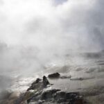 Auckland: Rotorua Living Maori Village Tour w/ Haka & Lunch - A Scenic Journey from Auckland to Rotorua