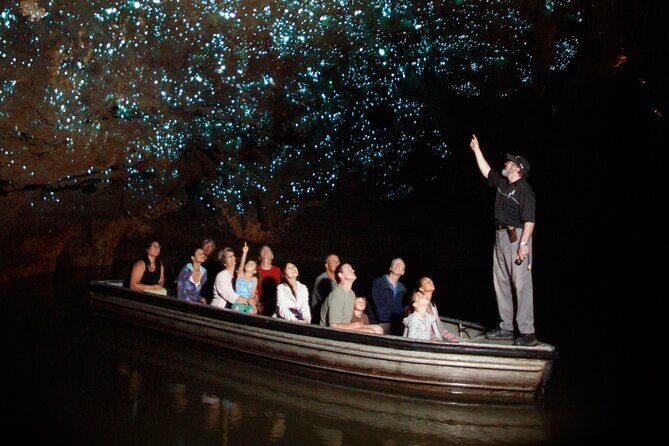 Auckland: Rotorua Mori Village w Haka & Waitomo Caves Day Tour - What Travelers Have Said