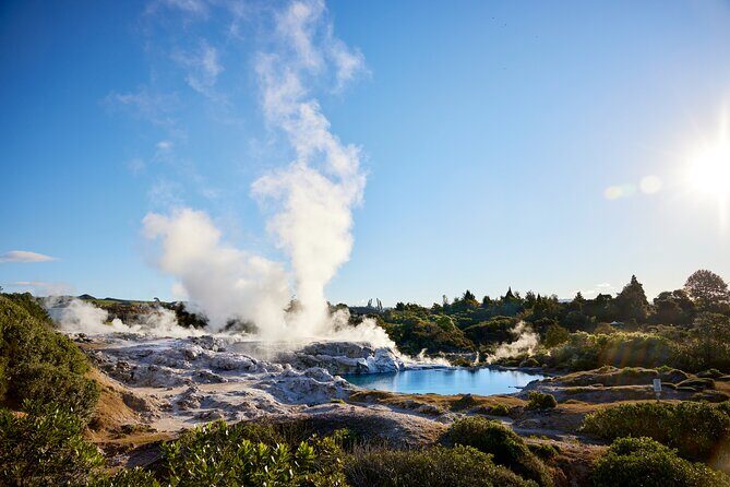 Auckland: Rotorua Te Puia & Maori Village Tour with Haka - Starting in Auckland: Smooth Beginnings