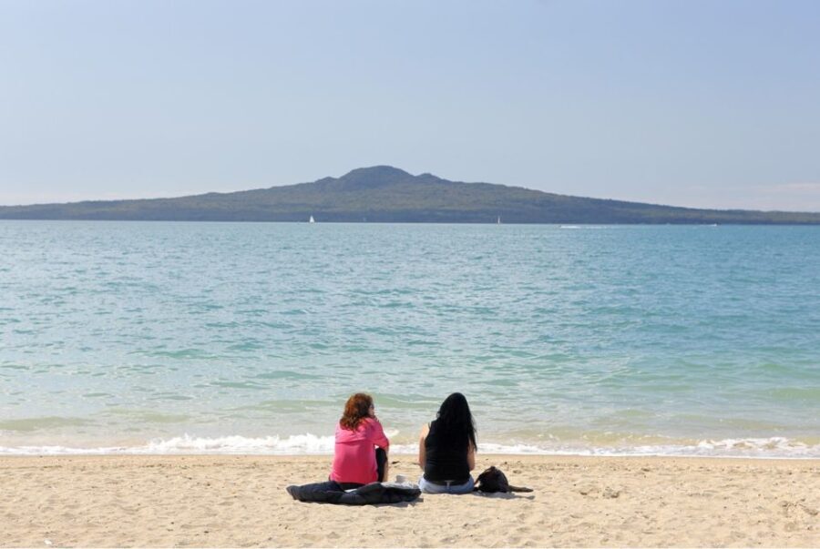 Auckland Scenic Half-Day City Sightseeing Tour - What to Expect on This Tour