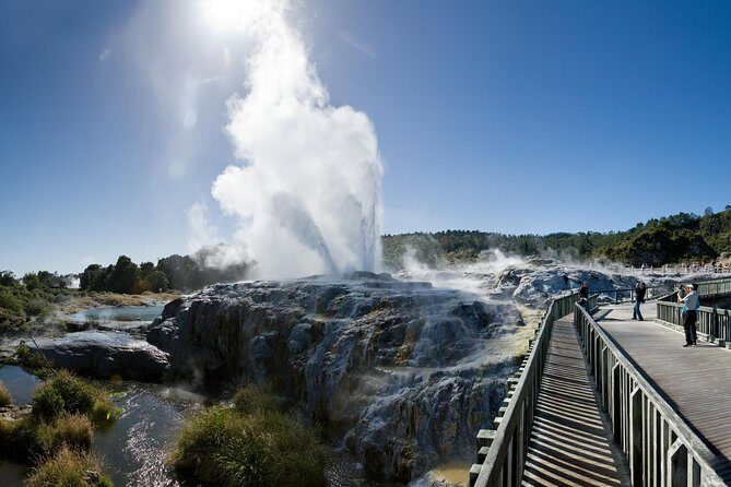 Auckland Sights Exclusive 4 Hour Luxury Day Tour - Why Choose This Tour?