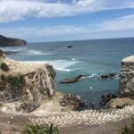 Auckland Sights Exclusive 8 Hour Luxury Day Tour - What Makes This Tour Stand Out?