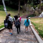 Auckland Small-Group Walking Tour with Treats - Auckland Town Hall and the Art Gallery