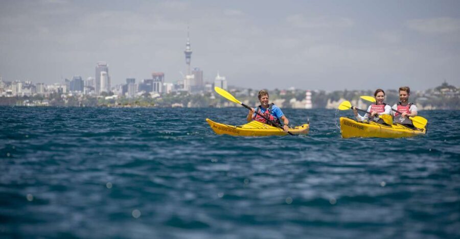 Auckland: Sunset & Night Sea Kayak Tour to Rangitoto Island - A Hearty Kiwi BBQ Dinner