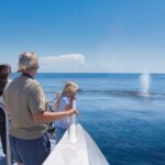 Auckland: Tikapa Moana Dolphin, Whale and Island Cruise - Who Will Appreciate This Tour?