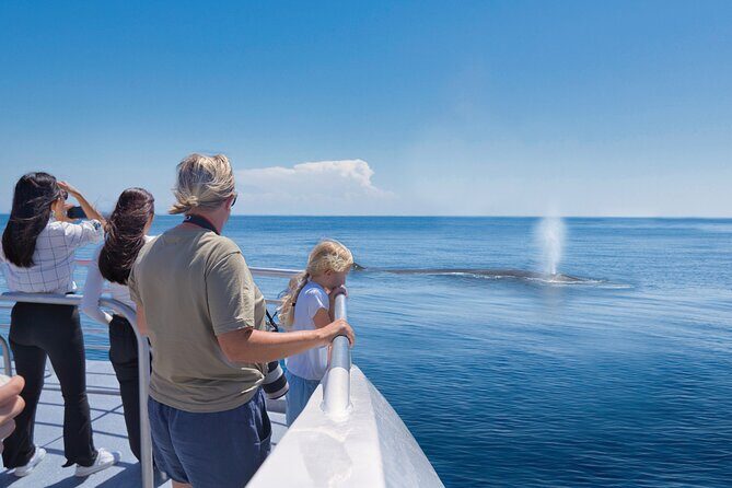 Auckland: Tikapa Moana Dolphin, Whale and Island Cruise - Who Will Appreciate This Tour?