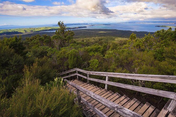 Auckland to Rangitoto Island Ferry - FAQs