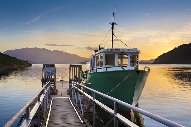 Auckland to Rotorua Private Tour - The Potential Hobbiton Detour