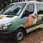 Auckland to Rotorua via Hobbiton One Way Small Group Tour - The Value of This Tour