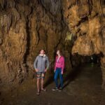 Auckland to Rotorua via Waitomo Caves Small Group Tour (One Way) - The Practicalities and Value