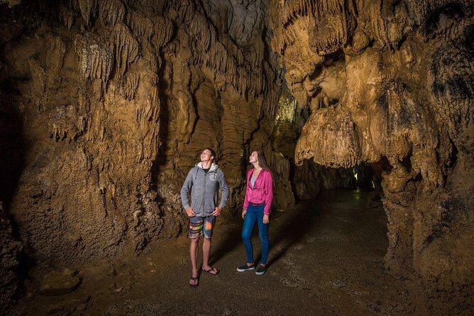 Auckland to Rotorua via Waitomo Caves Small Group Tour (One Way) - The Practicalities and Value