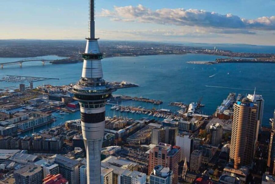 Auckland: Waiheke Island Wine and Food Tasting with Flights - The Flying Experience: More Than Just Transportation
