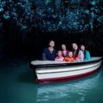 Auckland: Waitomo Caves & Rotorua - Te Puia Small-Group Tour - Is This Tour Worth It? Analyzing the Value