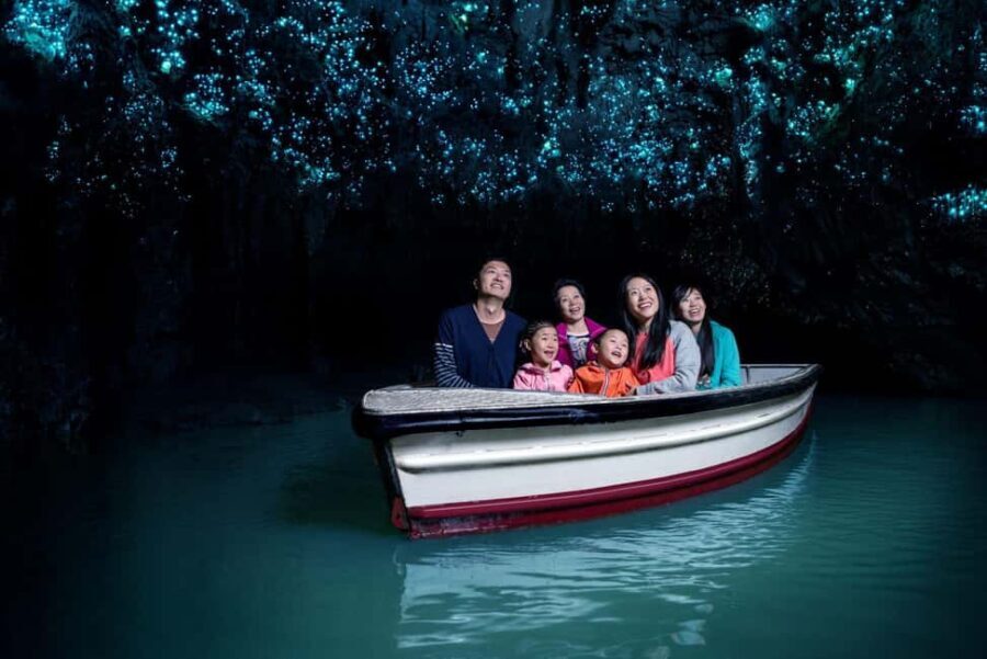 Auckland: Waitomo Caves & Rotorua - Te Puia Small-Group Tour - Is This Tour Worth It? Analyzing the Value