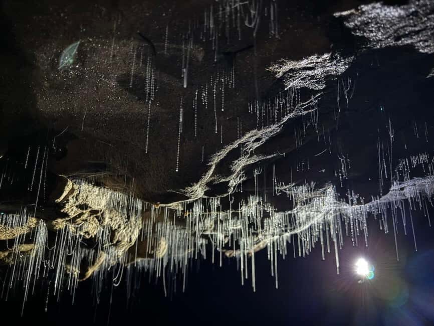 Auckland: Waitomo Glowworm Caves Explorer Small Group Tour - The Guide and Group Experience