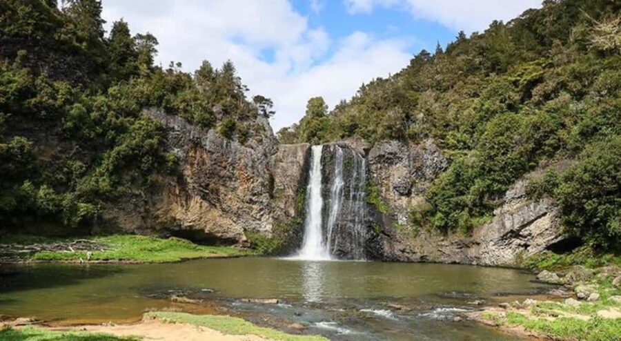 Auckland Waterfall Tour - The Practical Side: What to Expect