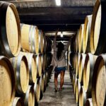 Auckland West Vineyard Tour with lunch and tastings incl - The Lunch Experience