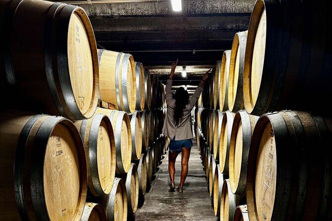 Auckland West Vineyard Tour with lunch and tastings incl - The Lunch Experience