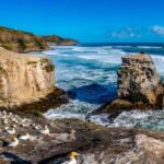 Auckland: Wild West Coast, Black Sand Beaches Tour inc Lunch - An In-Depth Look at the Tour Experience