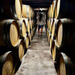 Auckland: Wine region tour with tastings and gourmet lunch - The Itinerary: What to Expect
