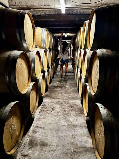 Auckland: Wine region tour with tastings and gourmet lunch - The Itinerary: What to Expect