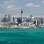 Auckland's Point to Point Transfers - Who Is This Service Best For?