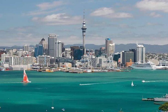 Auckland's Point to Point Transfers - Who Is This Service Best For?
