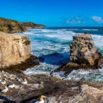 Auckland's Wild West Coast & Black Sand Beaches Tour inc Lunch - The Itinerary in Detail