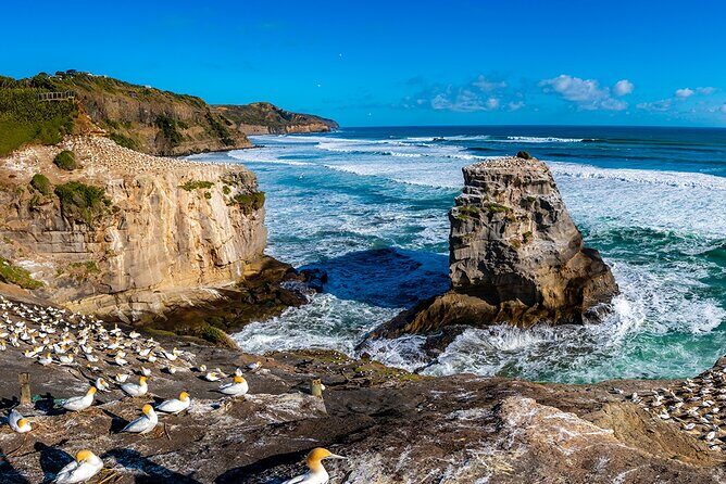 Auckland's Wild West Coast & Black Sand Beaches Tour inc Lunch - The Itinerary in Detail