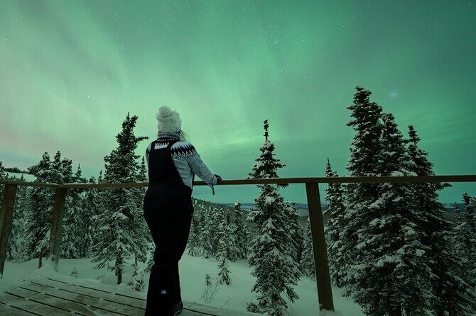 Aurora Oval Nightly Northern Lights Chase - The Experience in Detail