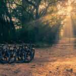 Auroville: Nature Trail Forest Cycling Adventure - What to Expect During the Tour
