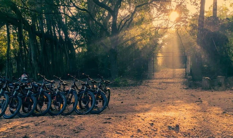 Auroville: Nature Trail Forest Cycling Adventure - What to Expect During the Tour