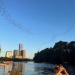 Austin: Bat Bridge Sunset Kayak Tour - Who Would Love This Tour?