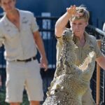 Australia Zoo Day Trip from Noosa /Sunshine Coast Region - Who Is This Tour Perfect For?