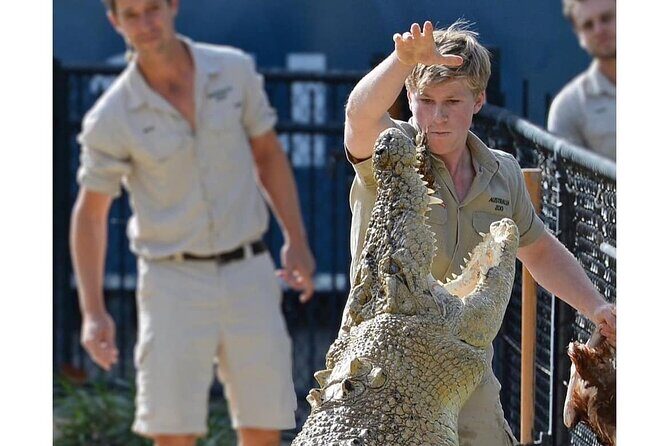 Australia Zoo Day Trip from Noosa /Sunshine Coast Region - Who Is This Tour Perfect For?