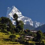 Australian Base Camp Day Hike From Pokhara - The Hike: Forests, Villages, and Mountain Majesty