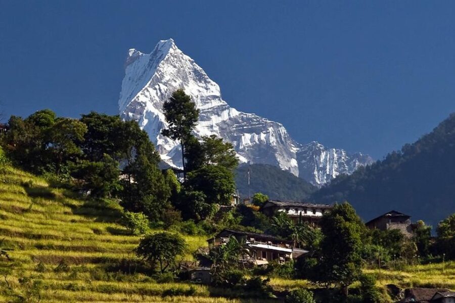 Australian Base Camp Day Hike From Pokhara - The Hike: Forests, Villages, and Mountain Majesty