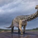 Australian Dinosaur Giants Tour - Why This Tour Offers Great Value